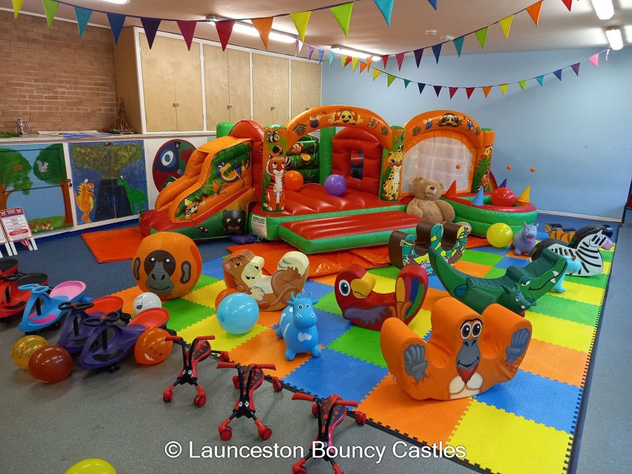 Deluxe Themed Party Packages - Hire in exeter holsworthy st austell ...