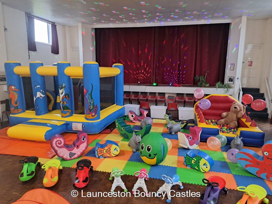 Deluxe Themed Party Packages - Hire in exeter holsworthy st austell ...