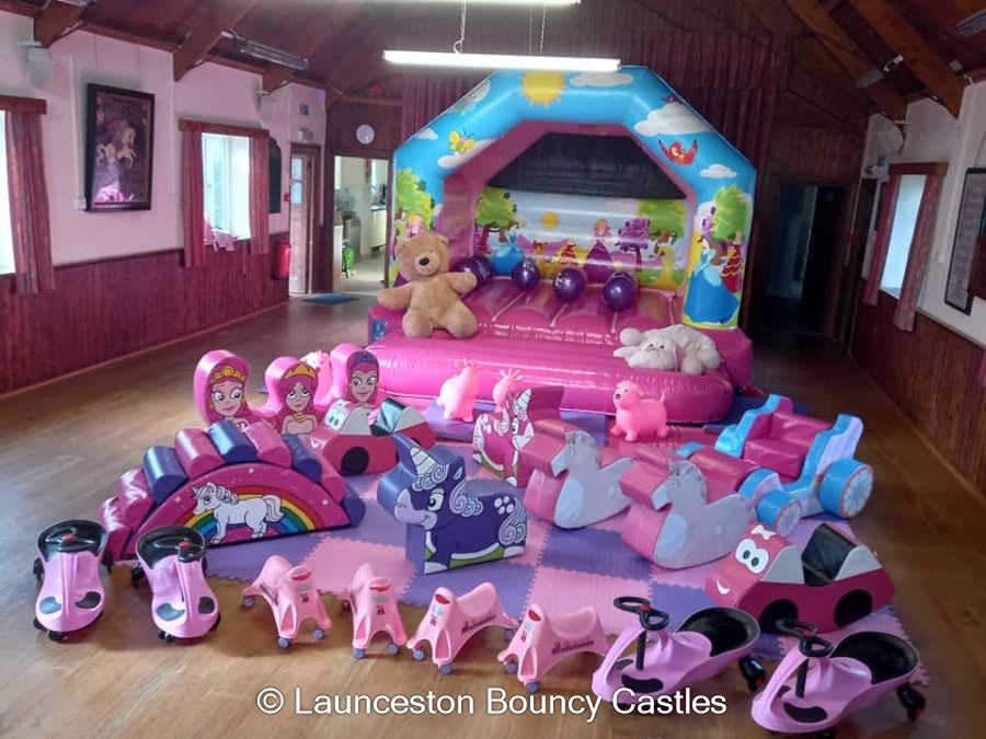 Deluxe Themed Party Packages - Hire in exeter holsworthy st austell ...